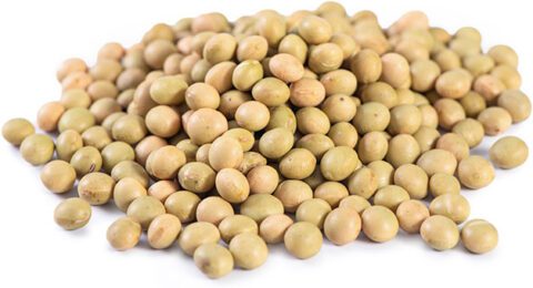 Types of Lecithin - Austrade Inc.