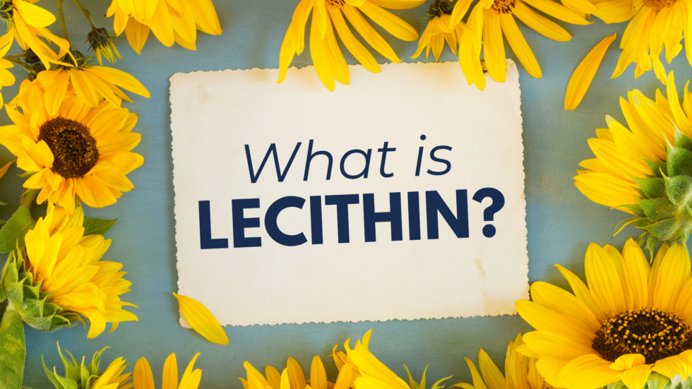 What is Lecithin? - Austrade Inc.